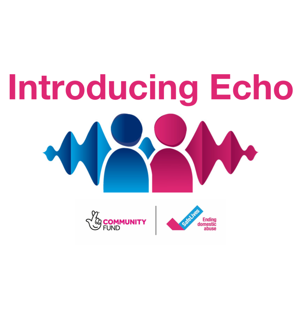 Echo: Embedding Authentic Voice - SafeLives