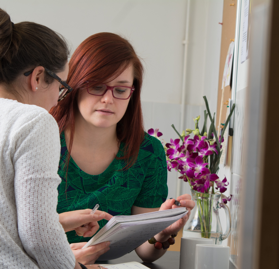 Foundation: Independent domestic violence advisor (Idva) training in ...