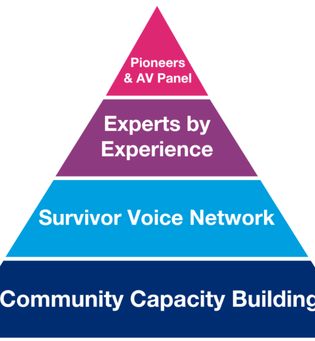 Authentic Voice Principles and Model - SafeLives